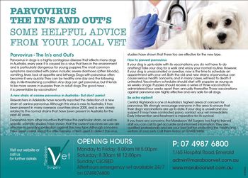 Parvovirus - The In's and Out's